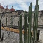 Hierve el Agua Guided Full Day Tour in Oaxaca - The Practicalities: What to Expect