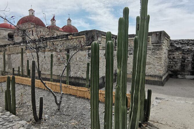 Hierve el Agua Guided Full Day Tour in Oaxaca - The Practicalities: What to Expect