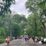 Highlights of Central Park  New York City Guided Walking Tour - Who Should Book This Tour?