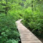 Hike and Bike the Vancouver Forests - The Sum Up