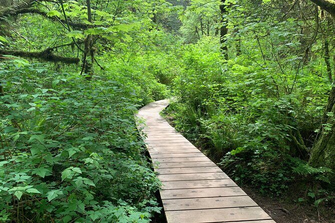 Hike and Bike the Vancouver Forests - The Sum Up