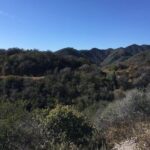 Hike in the Santa Monica Mountains - The Sum Up