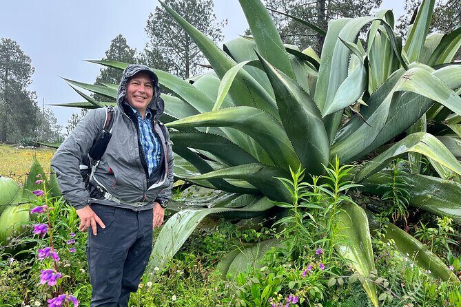 Hike in the Sierra Norte, Cuajimoloyas - What the Reviews Say