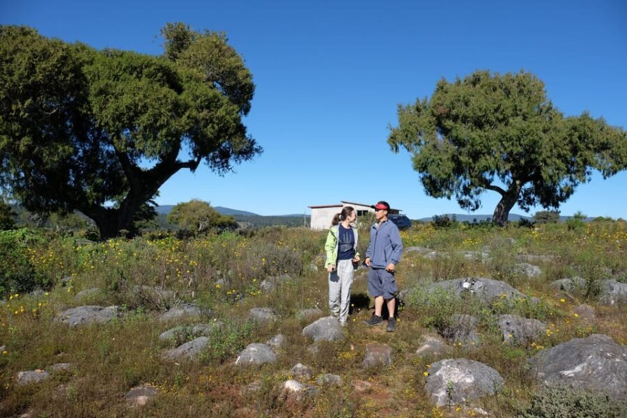 Hike + Swim at Apoala Waterfalls - Exploring the Landscape of Santiago Apoala