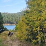 Hike the Rockies Half Day Tour - Amenities and Practical Details