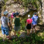 Hiking Adventure in Puerto Vallarta - What Travelers Are Saying (Based on Reviews)