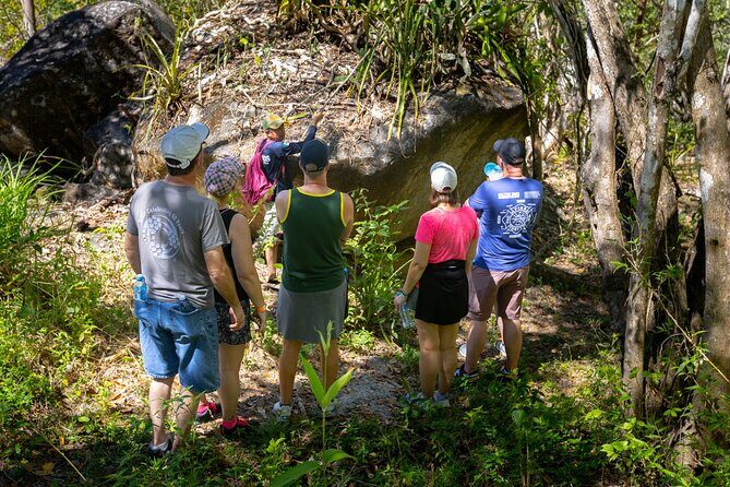 Hiking Adventure in Puerto Vallarta - What Travelers Are Saying (Based on Reviews)