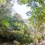 Hiking Adventure: River Trails & Waterfall Wonders - Exploring the Details of the Tour