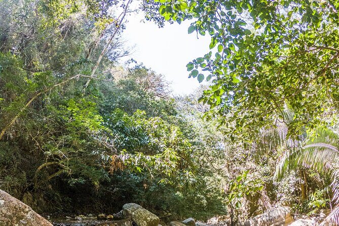 Hiking Adventure: River Trails & Waterfall Wonders - Exploring the Details of the Tour