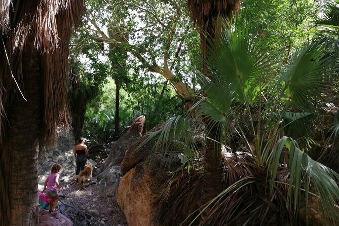 Hiking to Desert Palm Oases of San Carlos with a Biologist - Authenticity and Expert Guidance