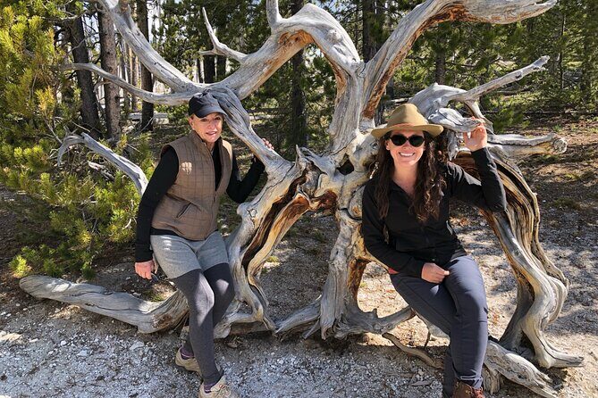 Hiking Tour: Hidden Gems | West Yellowstone | PRIVATE + Lunch - Who Will Love This Tour?
