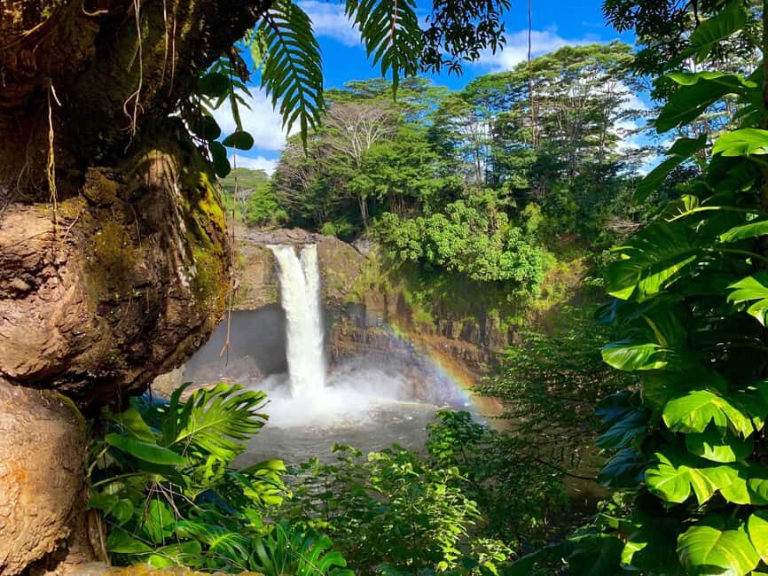 Hilo: Hawaii Volcanoes National Park and Hilo Highlights - Transportation, Group Size, and Price