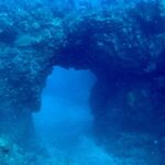 Hilo: Night Dive for Certified Divers - The Itinerary: What to Expect