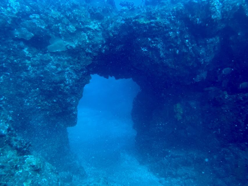 Hilo: Night Dive for Certified Divers - The Itinerary: What to Expect