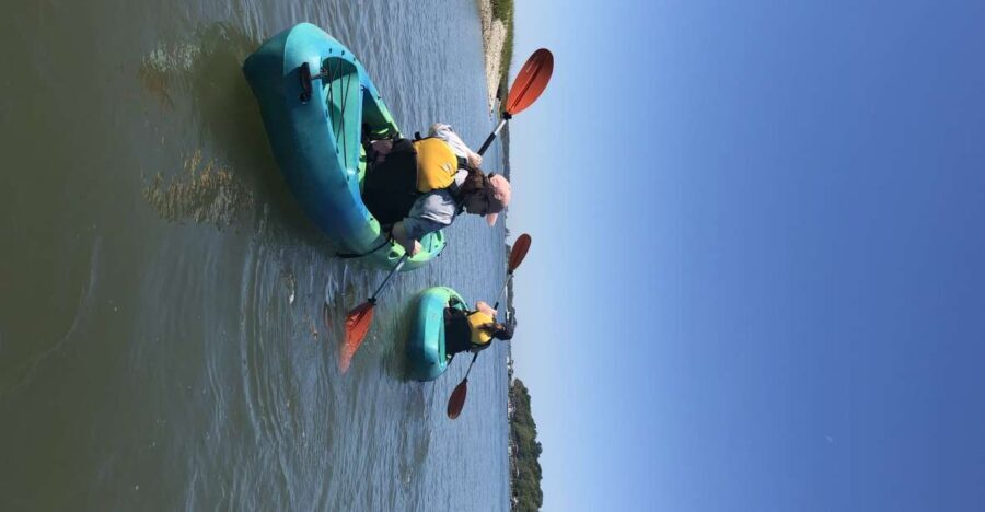 Hilton Head Island: 1.5-Hour Guided Small-Group Kayak Tour - What Sets This Tour Apart