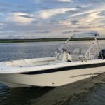 Hilton Head Island: Private Dolphin and Nature Tour - Who Should Consider This Tour?