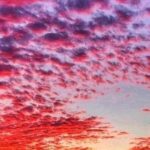 Hilton Head: Private Sunset Cruise - The Experience Itself