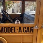 Historic Fredericksburg Tours in a Fully Restored Model A Car - Frequently Asked Questions