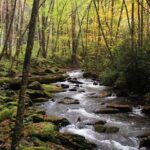 Historic River Town Ramble - Final Thoughts: Is It Worth It?
