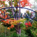 Historical Elora: A Self-Guided Cycle Tour - What is the Tour All About?
