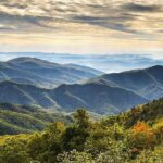 History and Culture Tour - What Travelers Say: Authentic Praise for a Knowledgeable Guide