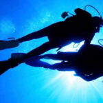Hol Chan Marine Park night dive - What’s Included and What’s Not