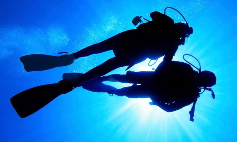 Hol Chan Marine Park night dive - What’s Included and What’s Not