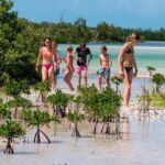 Holbox and Passion Island Full-Day Tour with Cenote, Transportation and Lunch - An In-Depth Look at the Tour