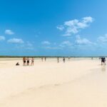Holbox Island Tour with Pasion Island and Punta Mosquito - The Itinerary: A Detailed Breakdown