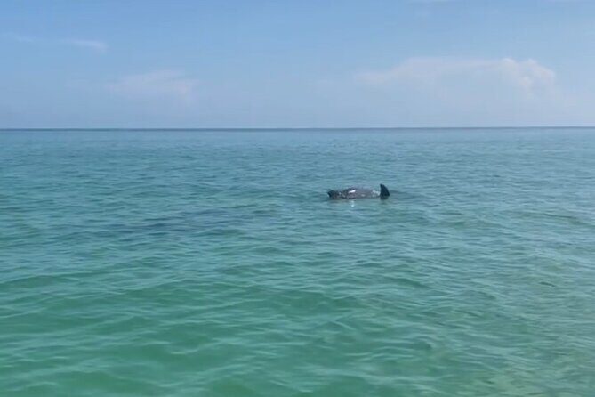 Holbox: Islas Pajaros, Yalahau & Isla de la Pasión with pick up - What’s Included and What to Budget For