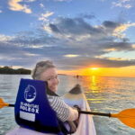 Holbox: Mangrove Sunset Kayak Tour - The Wildlife and Ecosystem