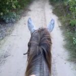 Holbox: Private Horseback Riding - The Route and Its Highlights