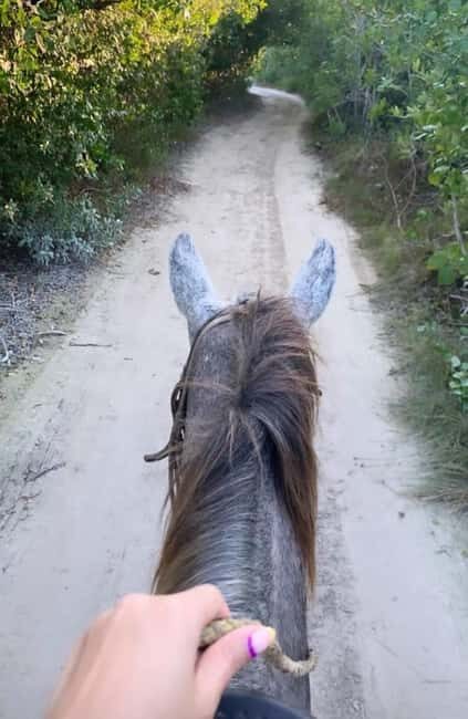 Holbox: Private Horseback Riding - The Route and Its Highlights