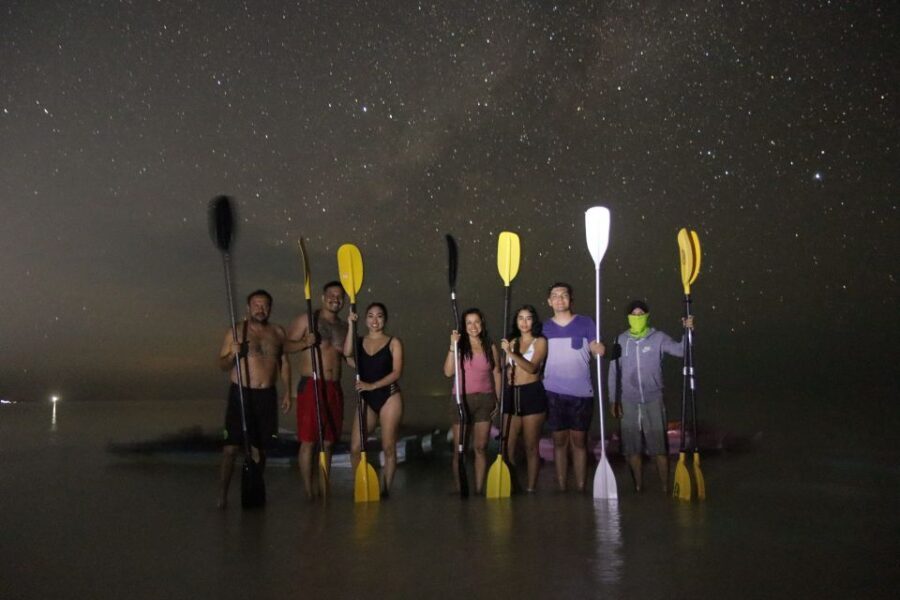Holbox: Stars and Bioluminescent Marine Life Kayaking Tour - An Overview of the Experience
