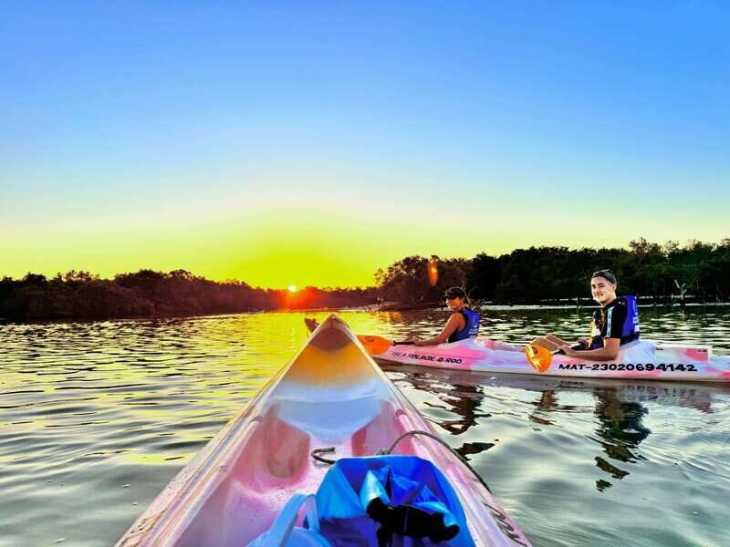 Holbox: Sunrise & Mangrove Kayak Tour - Value for Money and Practical Considerations