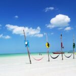 Holbox tour from Cancun and Riviera Maya - What Our Reviewers Say