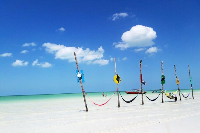 Holbox tour from Cancun and Riviera Maya - What Our Reviewers Say
