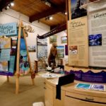 Homer: Pratt Museum Admission Ticket - Who Should Visit?