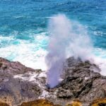 Honolulu: Oahu Sights and Bites Island Tour - Practical Details and Travel Tips