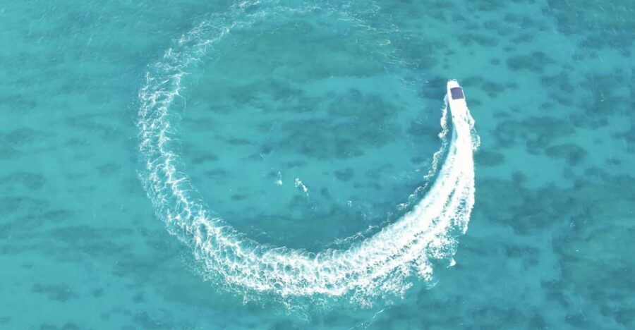 Honolulu: Private Waikiki Boat Cruises for up to 6 People - The Sum Up: Who Will Enjoy This Experience?