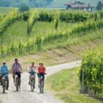 Hood River: All-Day E-Bike Rental - Analyzing the Value