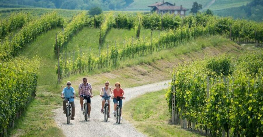 Hood River: All-Day E-Bike Rental - Analyzing the Value