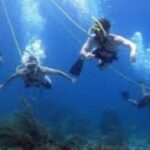 Hookah Diving Adventure in Zihuatanejo - What to Expect from Your Hookah Diving Adventure