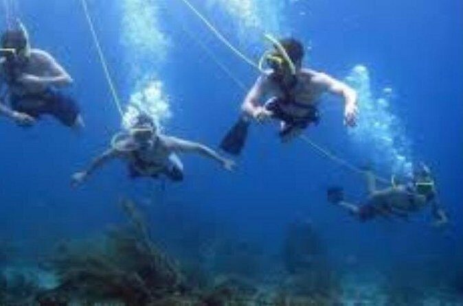 Hookah Diving Adventure in Zihuatanejo - What to Expect from Your Hookah Diving Adventure
