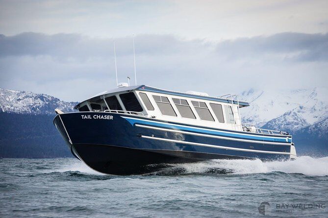Hoonah Whale-Watching Cruise - Near Icy Strait Point - The Sum Up