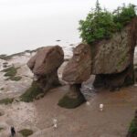Hopewell Rocks Admission - Timing Your Visit for Maximum Impact
