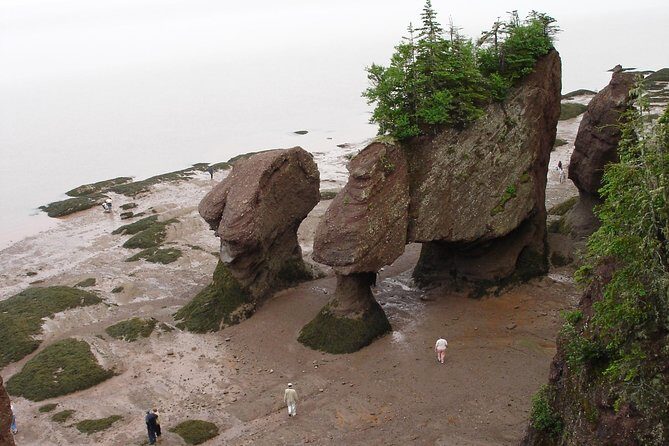 Hopewell Rocks Admission - Timing Your Visit for Maximum Impact