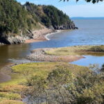 Hopewell Rocks and Fundy National Park Private Tour - Practical Tips for Making the Most of the Tour