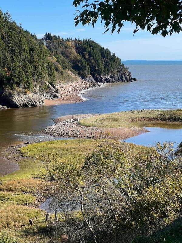 Hopewell Rocks and Fundy National Park Private Tour - Practical Tips for Making the Most of the Tour