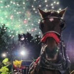 Horse Carriage Ride at Rockefeller Center & Times Square - What To Expect During Your Ride